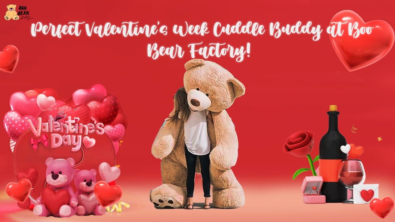 Find Your Perfect Valentine's Week Cuddle Buddy at Boo Bear Factory!
