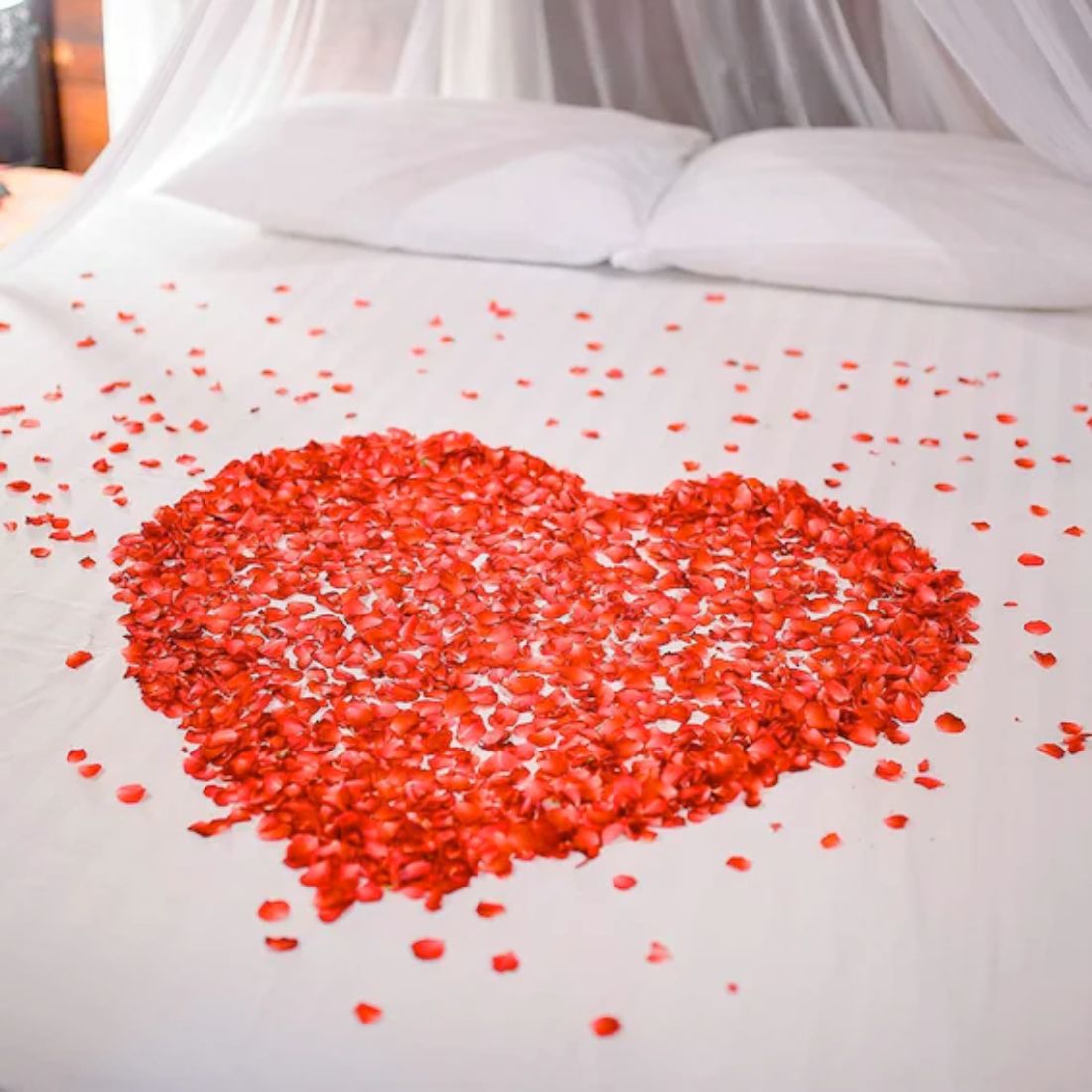 400 Red Rose Petals | Real Fresh | $23.99 | Boo Bear Factory (Flower A