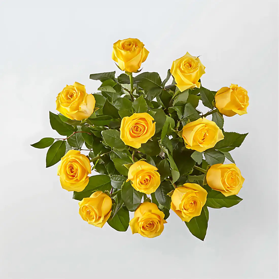 Stunning Yellow Roses – Fresh & Vibrant Blooms - Boo Bear