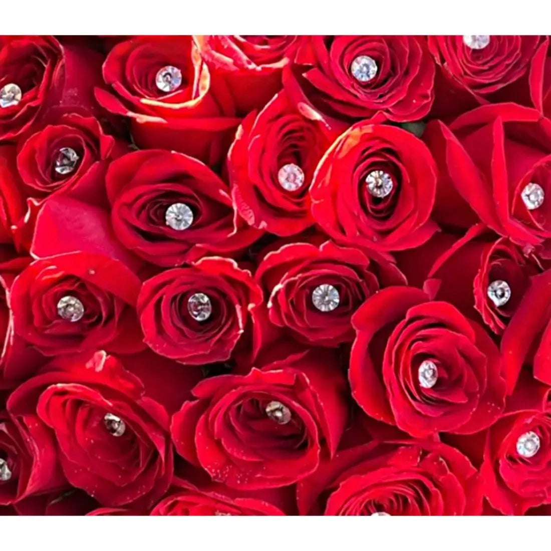Rose Diamonds (10 Count) | $9.99 | Boo Bear Factory