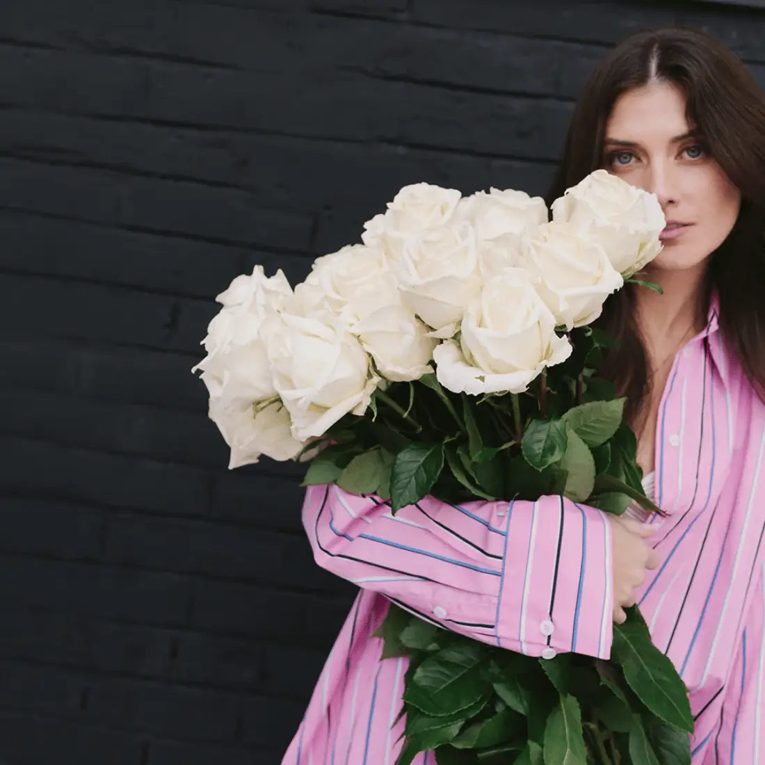 Long Stem Assorted Colors Roses | Harvested Fresh 24 Inches - Boo Bear